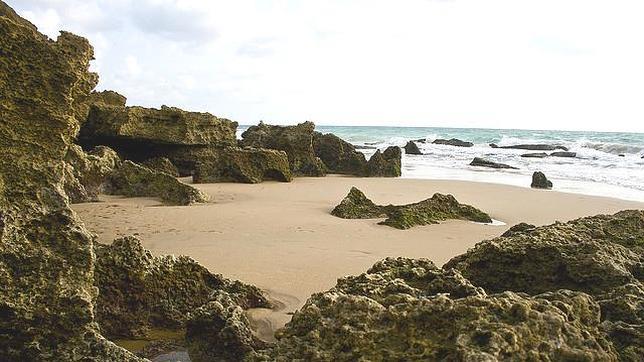 Las calas de Roche de Conil, de las mejores de España