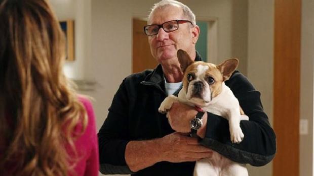 Las Mascotas Más Famosas De Las Series De Televisión